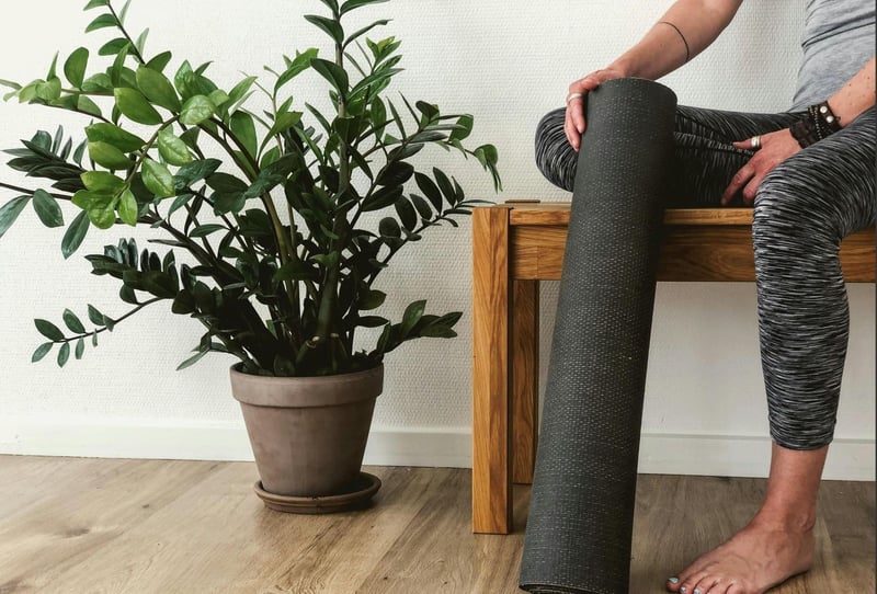 Rejoignez le club d'activités préféré des seniors - Club Colette